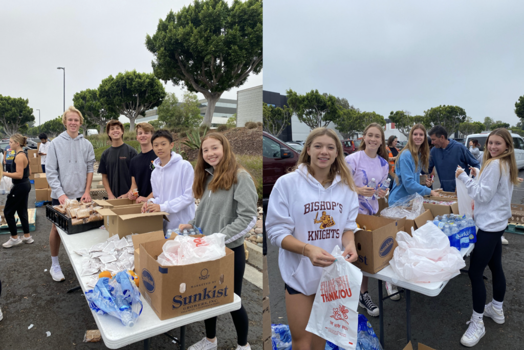 Volunteer – Lucky Duck